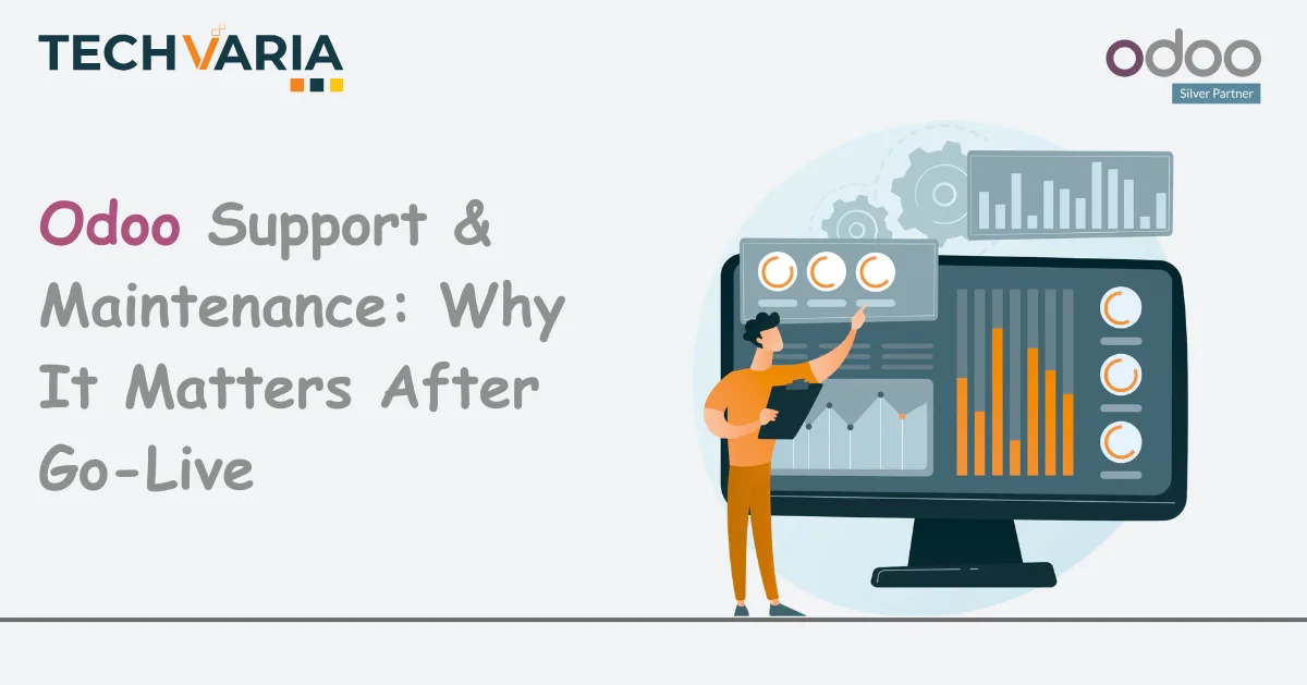 Odoo Support & Maintenance Services After Implementation